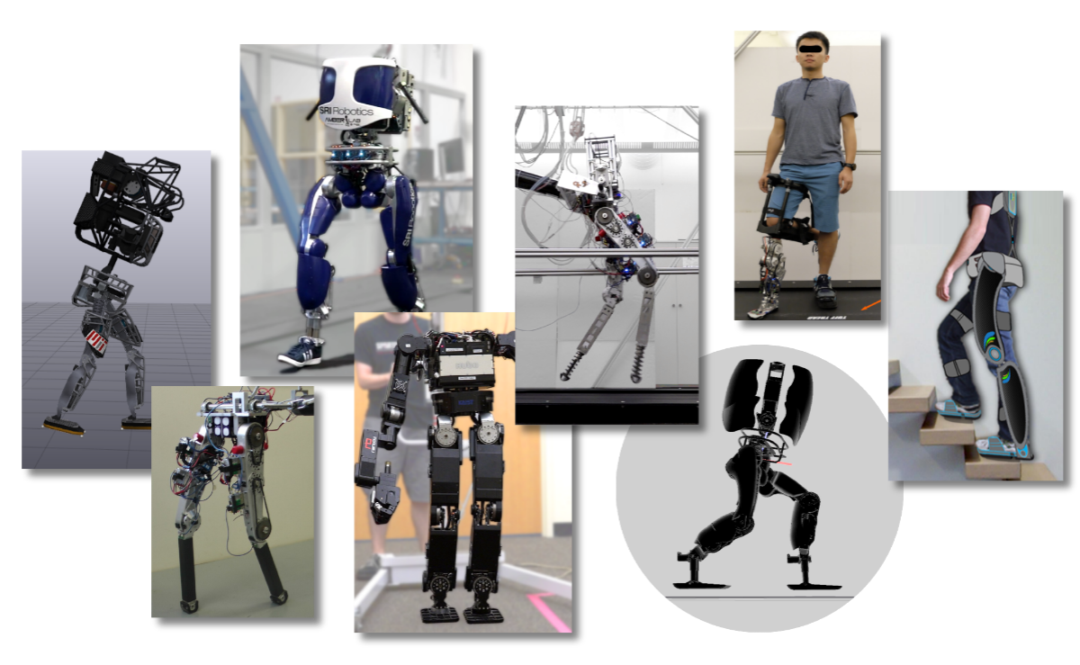 Fast Robot Optimization And Simulation Toolkit Frost Cyberbotics Lab