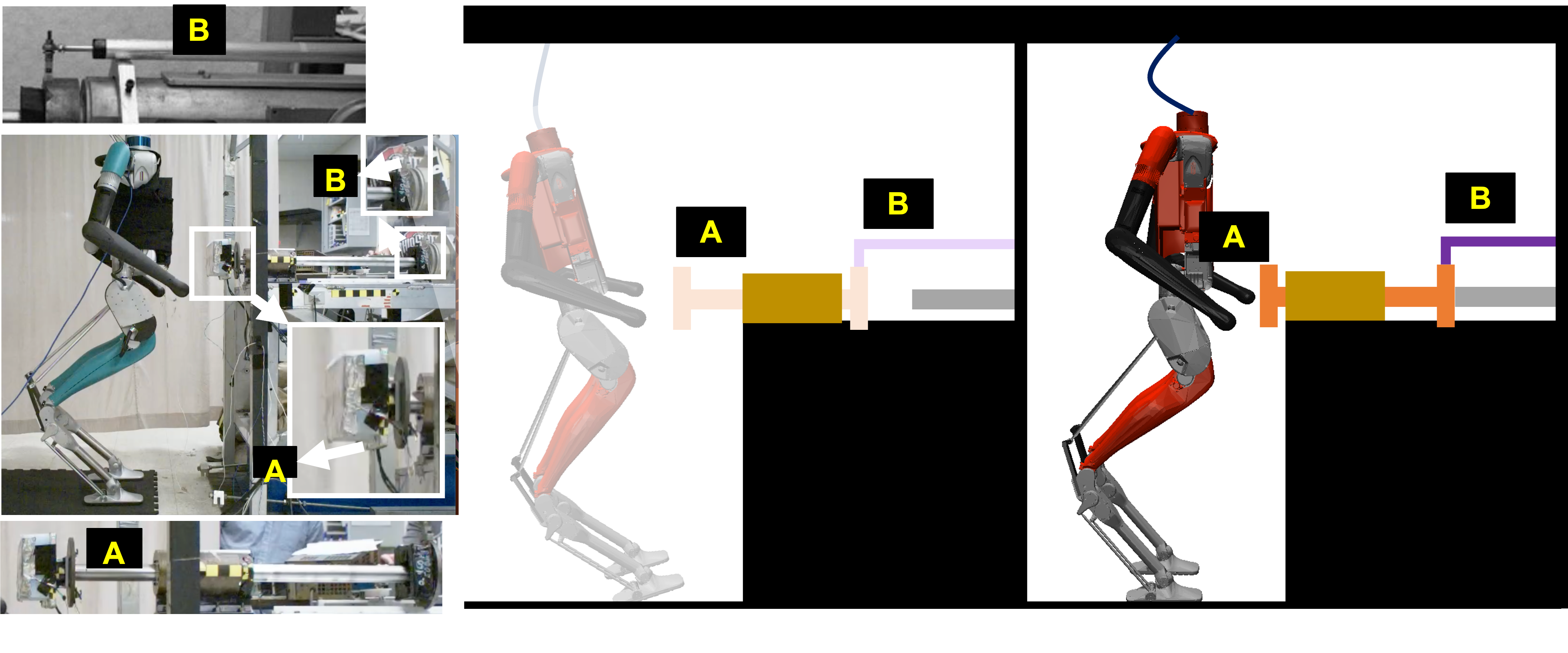 Safety Testing of Legged Robots | Cyberbotics Lab